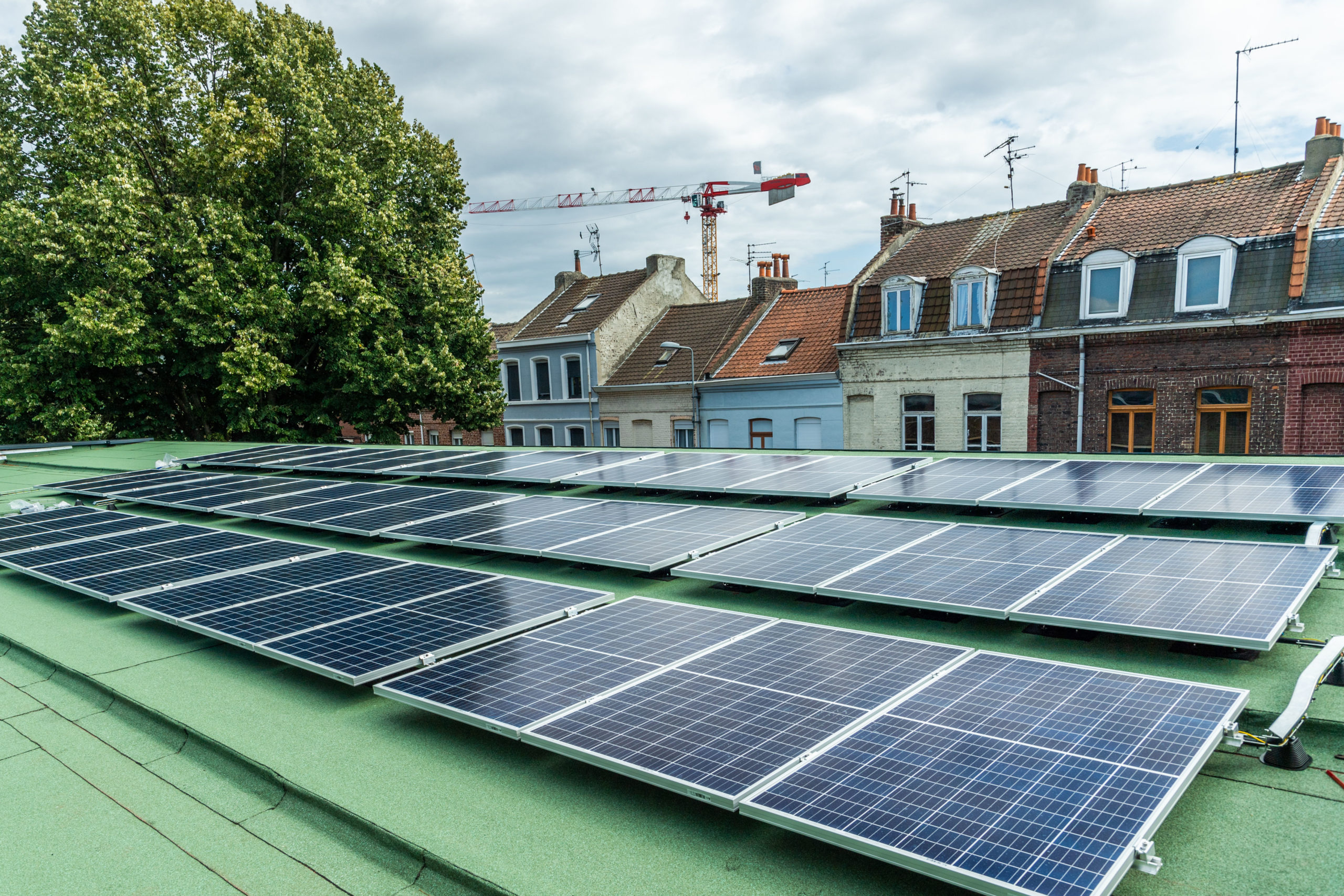 Solaire et biomasse : comment Lille veut produire localement de l ...