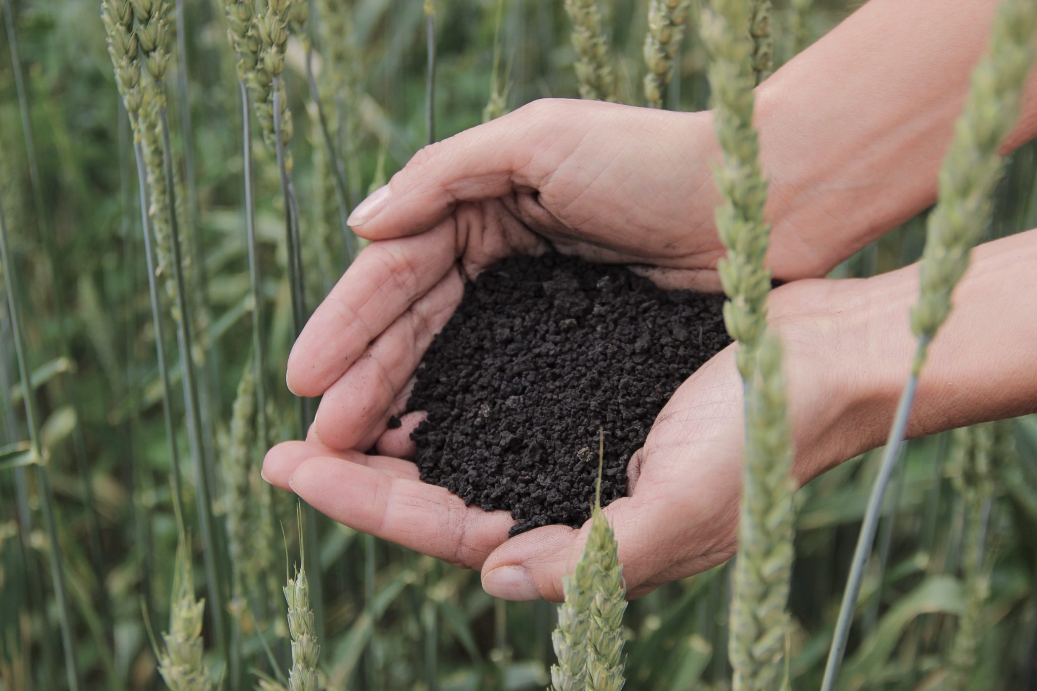 Valoriser le biochar | Les clés de la transition énergétique